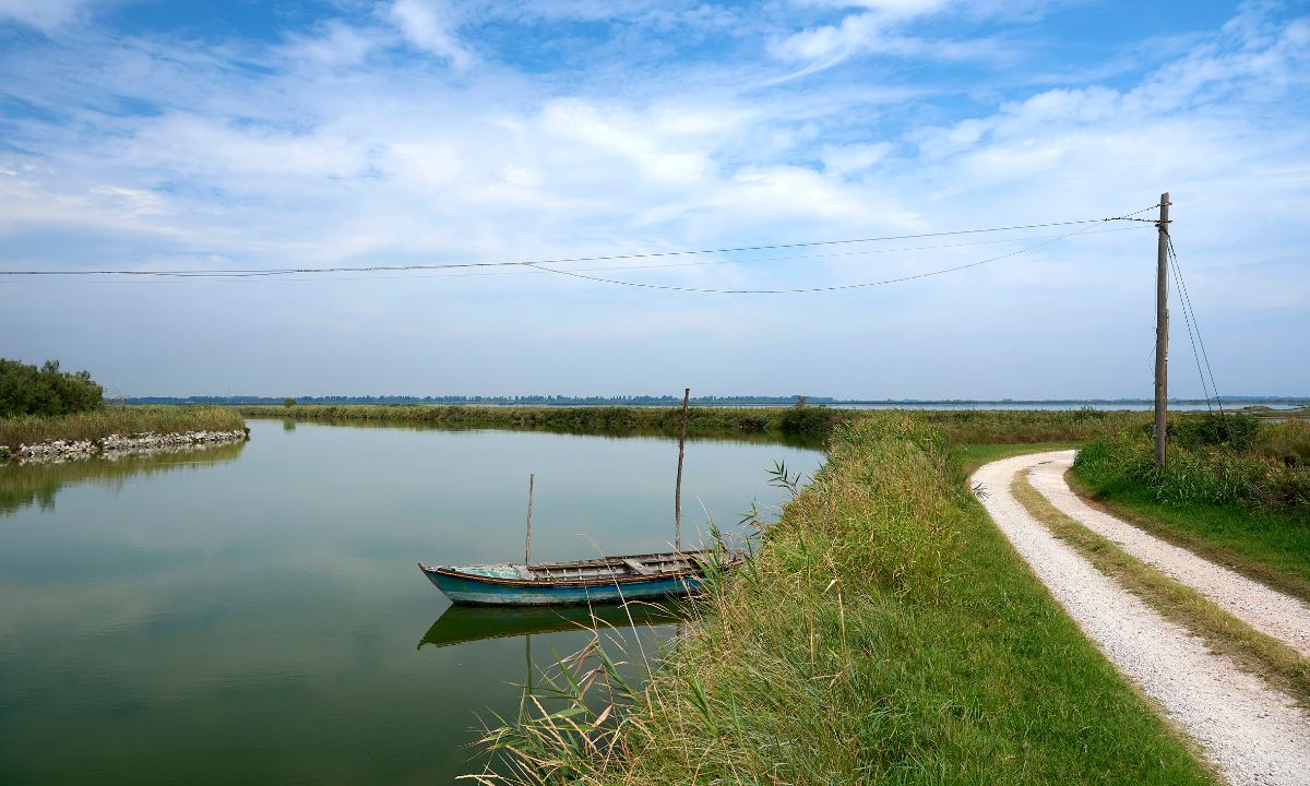Delta del Po : un parc rempli de forêts, lagunes et oiseaux - La petite ...