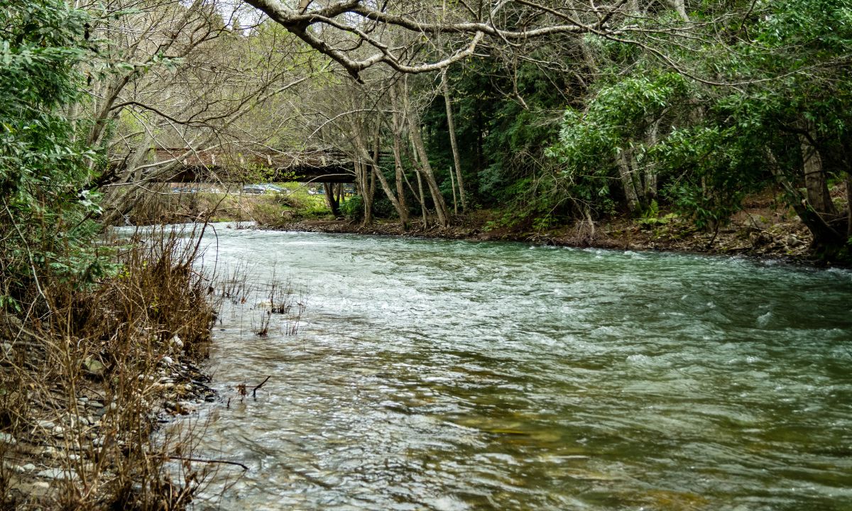 Big Sur : que faire et que voir ? - La petite rade