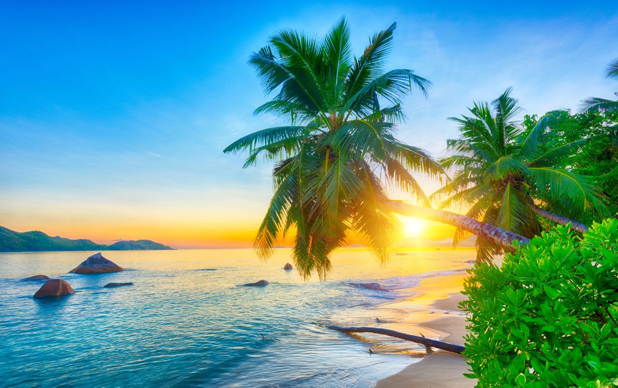 Les plus belles îles paradisiaques à visiter absolument - La petite rade